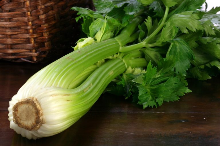 Sedano - Ricette.com