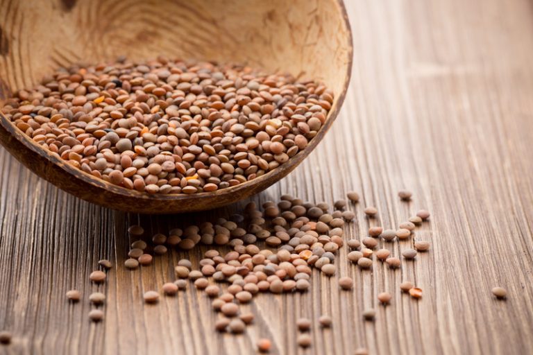 Le 10 migliori ricette con le lenticchie